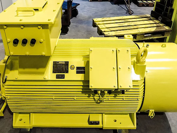 Ex nA & Ex tc motors (Zone 2 and Zone 22) up to 13.8 kV