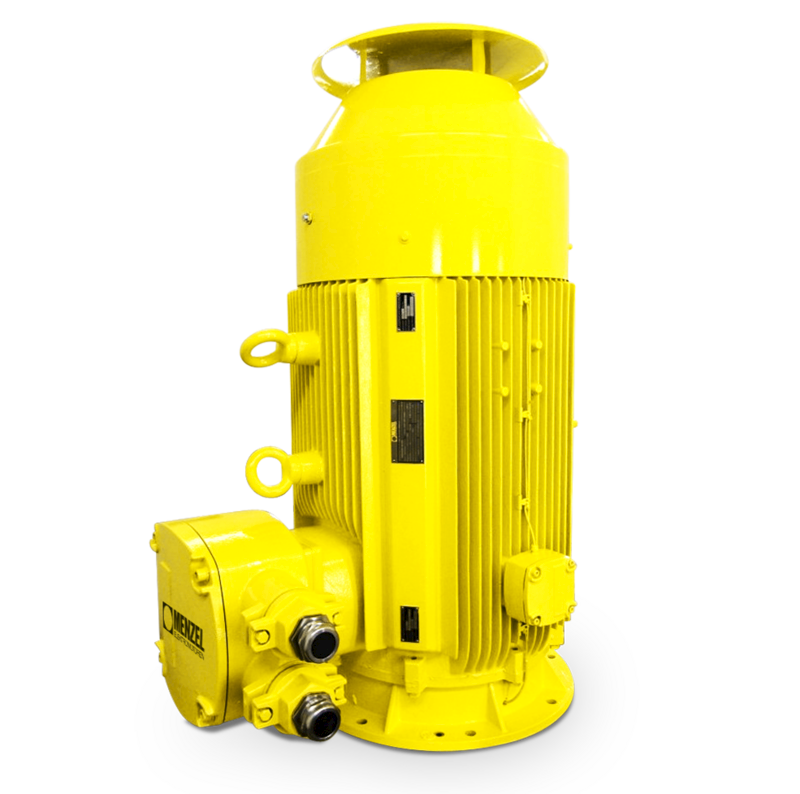 IP67 watertight electric motors: From 380 V to 6600 V