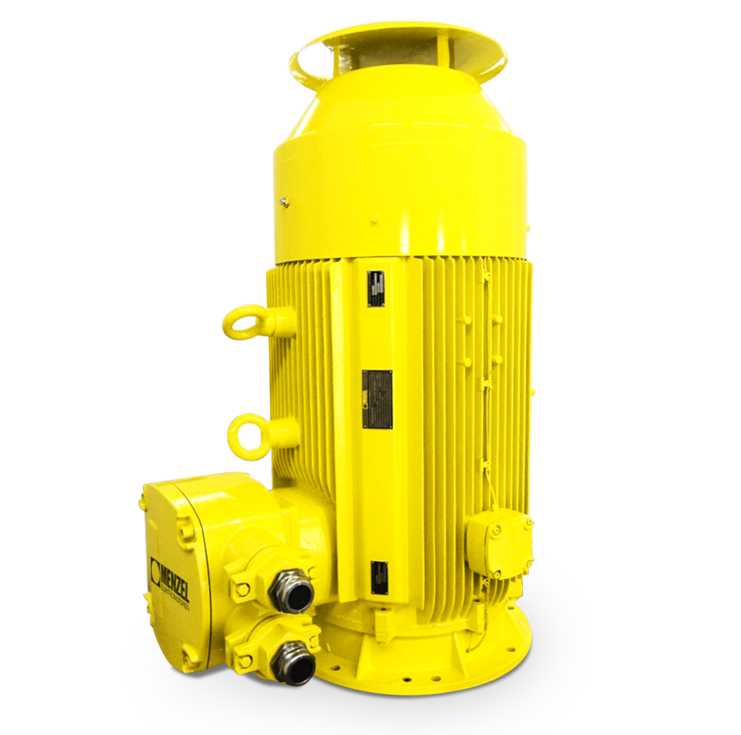 IP67 watertight electric motors: From 380 V to 6600 V