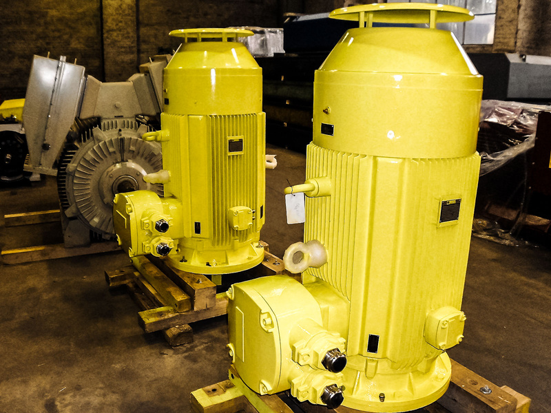 IP67 watertight electric motors: From 380 V to 6600 V