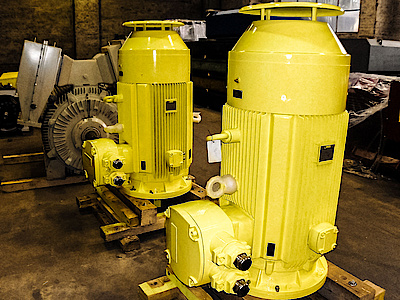 IP67 watertight electric motors: From 380 V to 6600 V