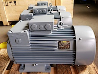 Crane duty motors: 220 V to 690 V and 10 kW to 600 kW