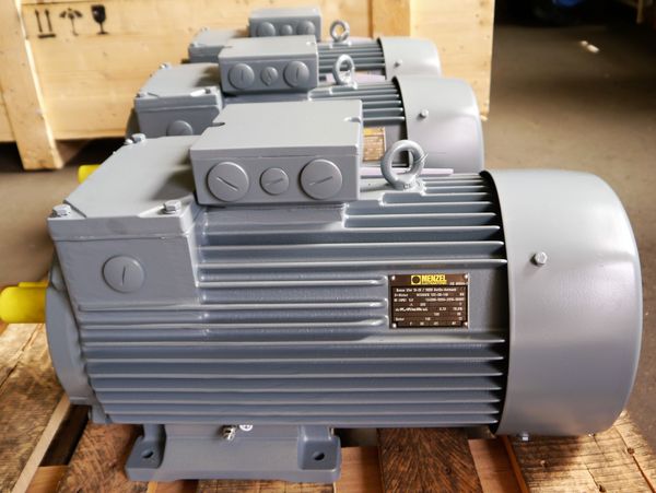 Crane duty motors: 220 V to 690 V and 10 kW to 600 kW