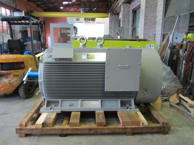 6000 V | 6 kV electric motors manufacturer