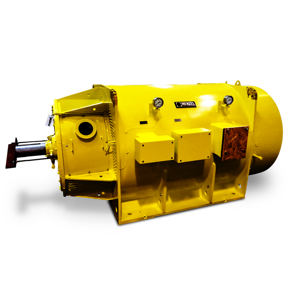 Low, medium & high voltage slip ring induction motors