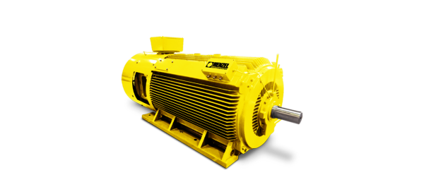 Slip ring motors | up to 8000 kW 13800 V