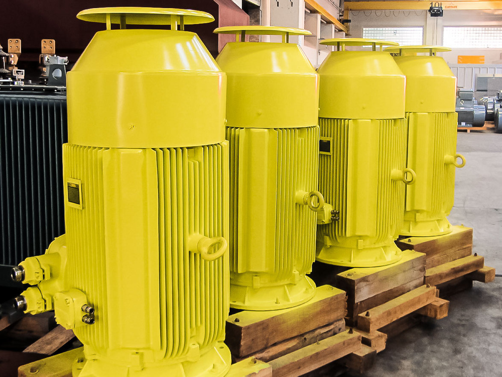 IP67 watertight electric motors: From 380 V to 6600 V