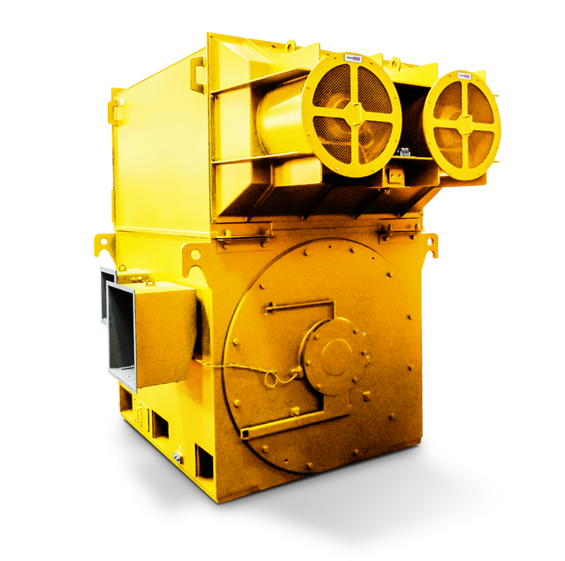 Modular squirrel cage motors from 380 V to 13,800 V