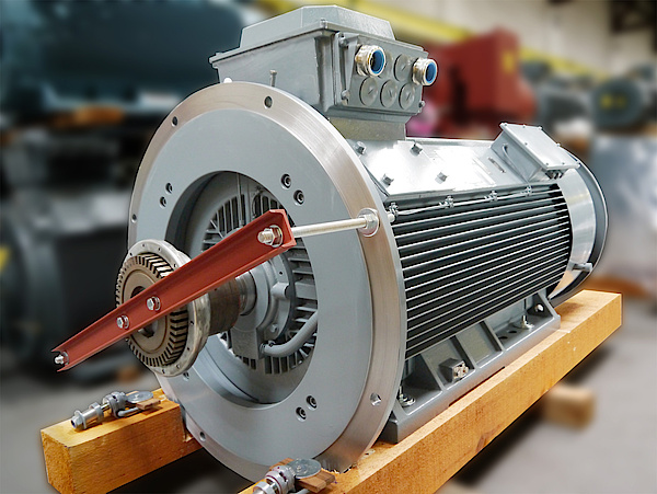 Replacement motor keeps Swedish paper mill running: Menzel Motors