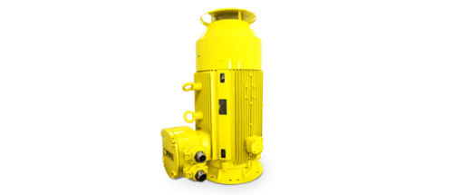 Ex nA & Ex tc motors (Zone 2 and Zone 22) up to 13.8 kV