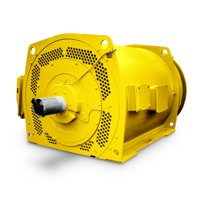 Low and high voltage squirrel cage induction motors