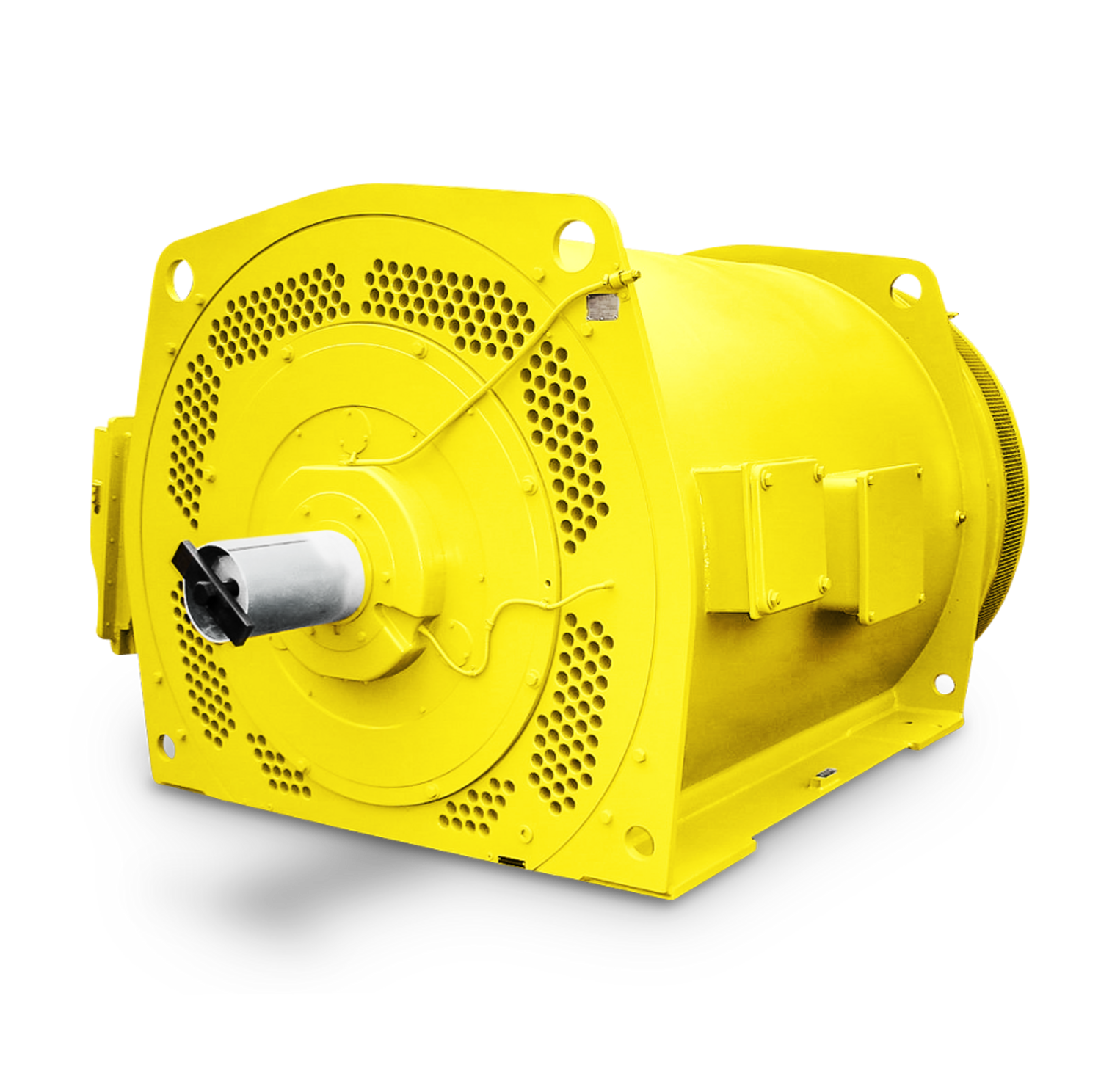 Low and high voltage squirrel cage induction motors