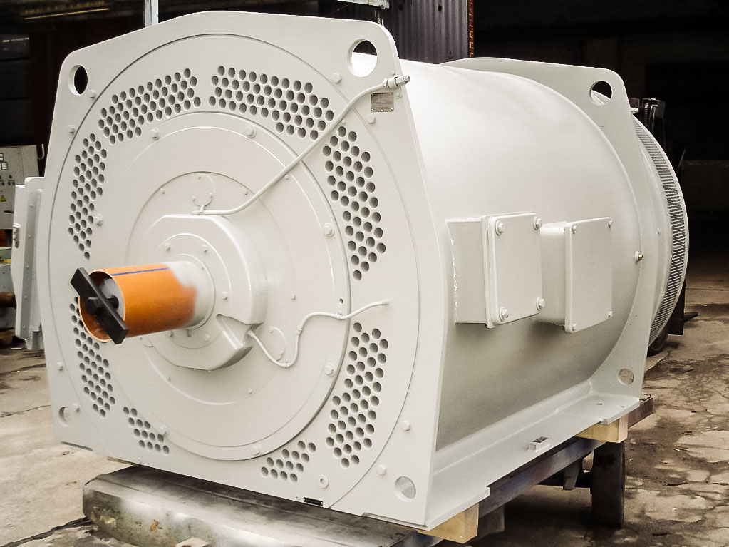 Low and high voltage squirrel cage induction motors