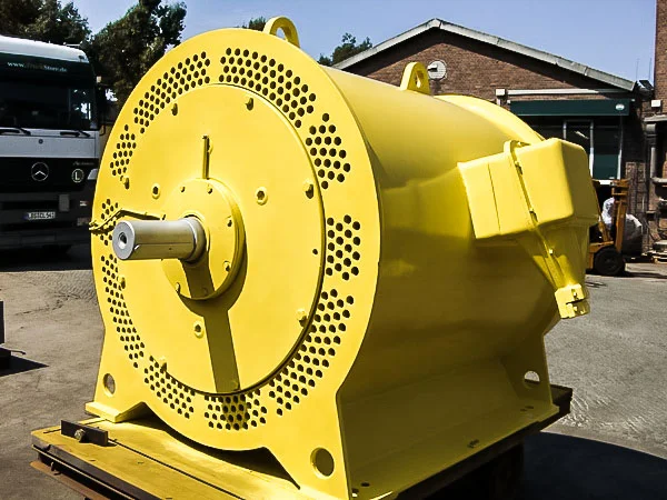 Low and high voltage squirrel cage induction motors